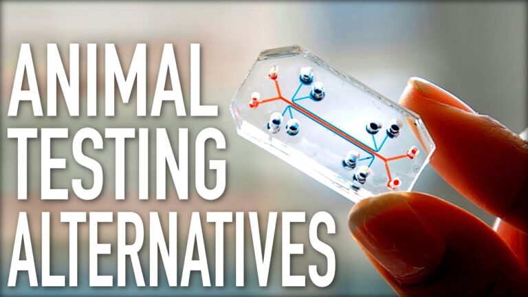 Exploring Alternatives to Animal Testing by Promoting Ethical and ...