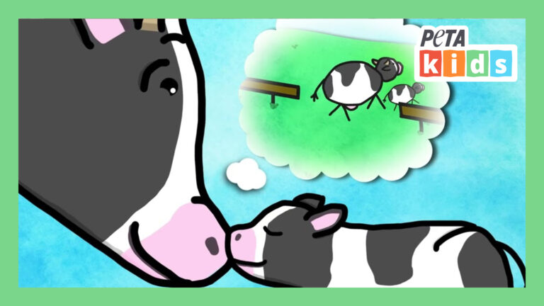 PETA Kids Launches Catchy New Song "Cow Wow" to Celebrate Cows ...