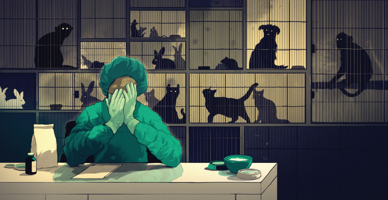 The Silent Suffering of Lab Cats: Why It's Time to End Animal Testing ...