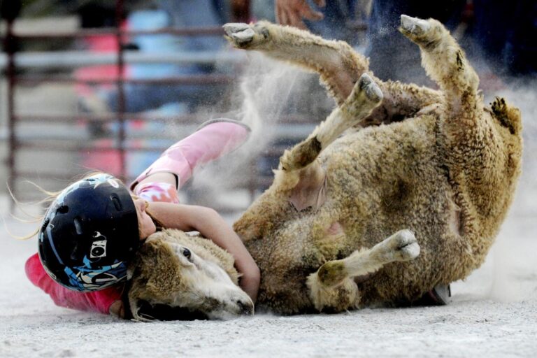 Rodeos are Animal Abuse - Sustainable Action Now (SAN)