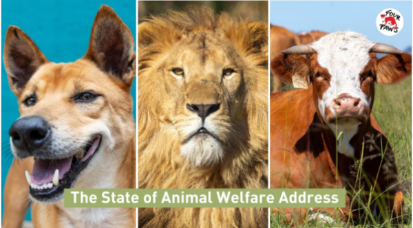 The 2026 State of Animal Welfare Address - Sustainable Action Now (SAN)